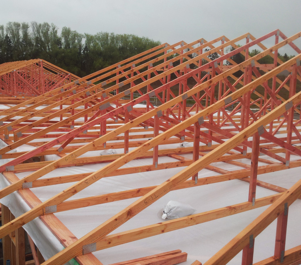 Raising the roof - PlaceMakers