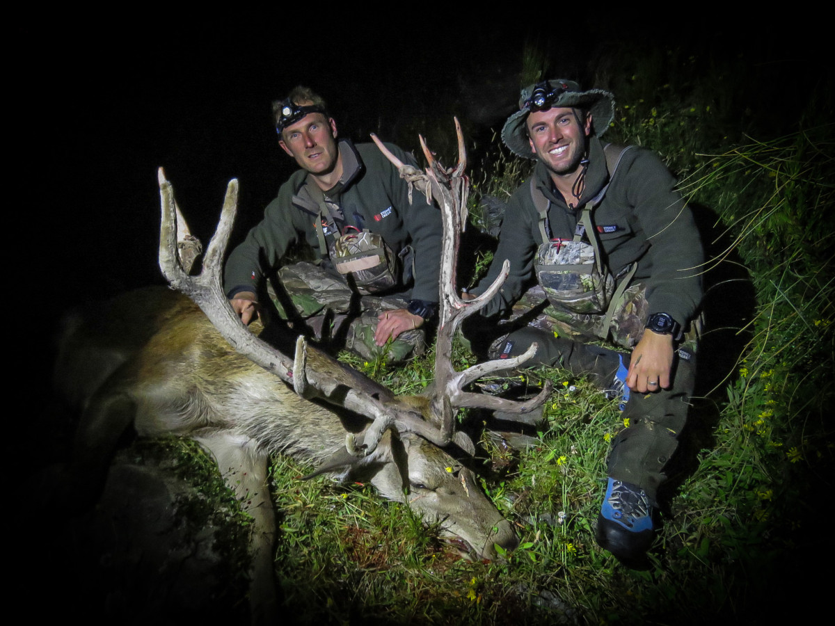 12 Point Stag - PlaceMakers