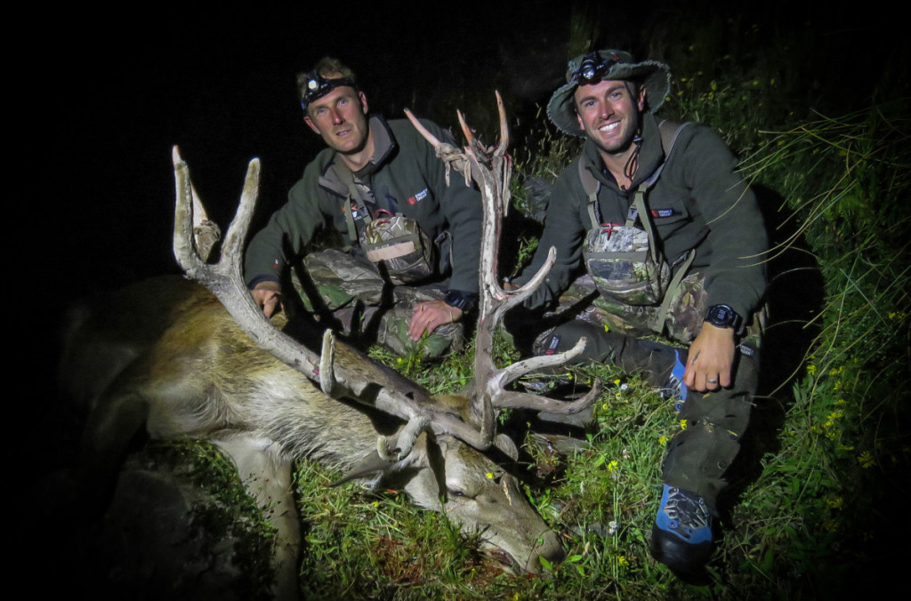 12_Point_Stag - PlaceMakers