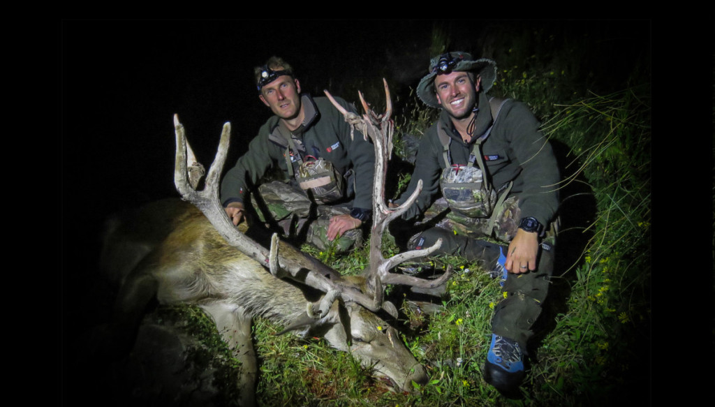 Red Stag joins hunters club - PlaceMakers