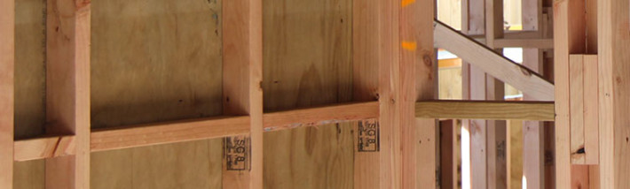 BRANZ eLearning modules - PlaceMakers