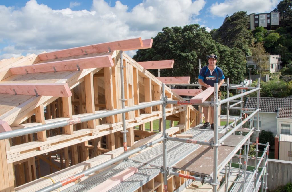 TOP PLATE CONNECTIONS - PlaceMakers