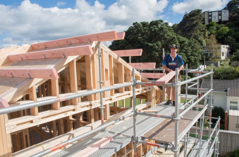 TOP PLATE CONNECTIONS - PlaceMakers