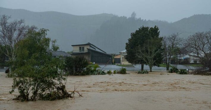 Repairing flood damaged buildings - PlaceMakers